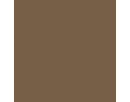 Status Bronze SW7034 Paint by Sherwin-Williams - modlar.com