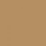 Steady Brown SW6110 Paint by Sherwin-Williams - modlar.com
