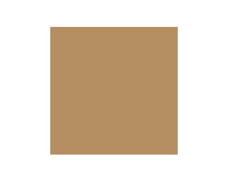 Steady Brown SW6110 Paint by Sherwin-Williams - modlar.com