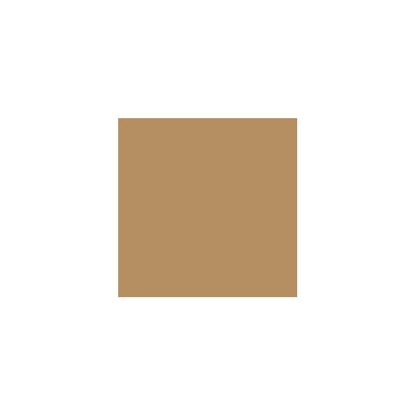Steady Brown SW6110 Paint by Sherwin-Williams - modlar.com