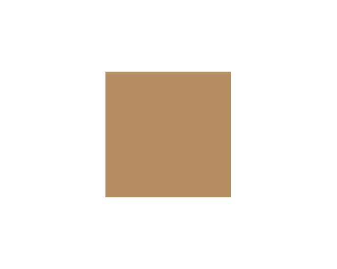 Steady Brown SW6110 Paint by Sherwin-Williams - modlar.com