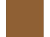Sturdy Brown SW6097 Paint by Sherwin-Williams - modlar.com