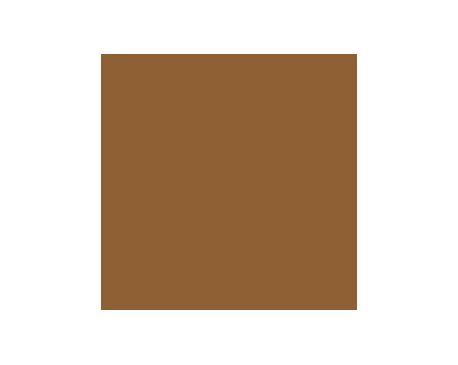 Sturdy Brown SW6097 Paint by Sherwin-Williams - modlar.com