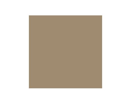 Superior Bronze SW6152 Paint by Sherwin-Williams - modlar.com