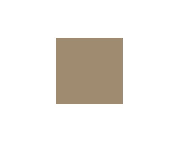 Superior Bronze SW6152 Paint by Sherwin-Williams - modlar.com