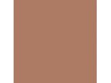 Tanbark SW6061 Paint by Sherwin-Williams - modlar.com