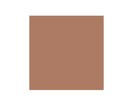 Tanbark SW6061 Paint by Sherwin-Williams - modlar.com