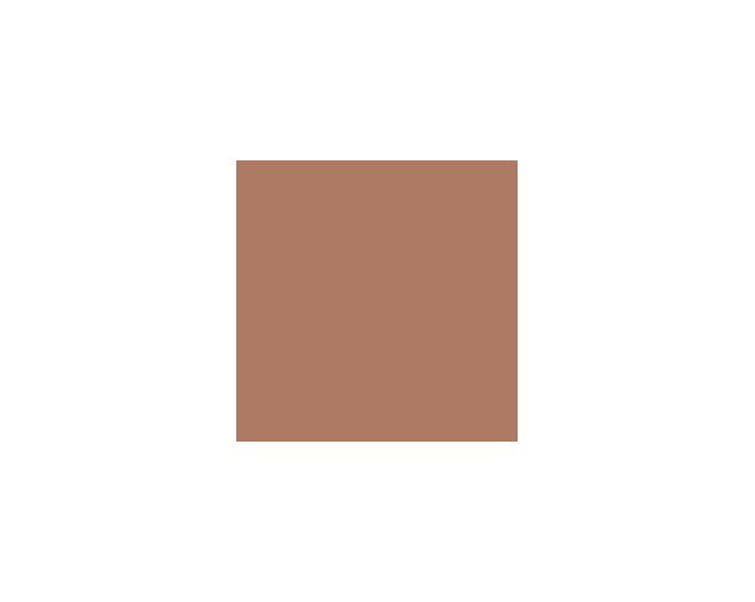 Tanbark SW6061 Paint by Sherwin-Williams - modlar.com