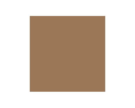 Tea Chest SW6103 Paint by Sherwin-Williams - modlar.com