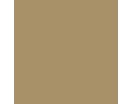 Thatch Brown SW6145 Paint by Sherwin-Williams - modlar.com