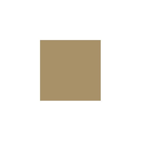 Thatch Brown SW6145 Paint by Sherwin-Williams - modlar.com