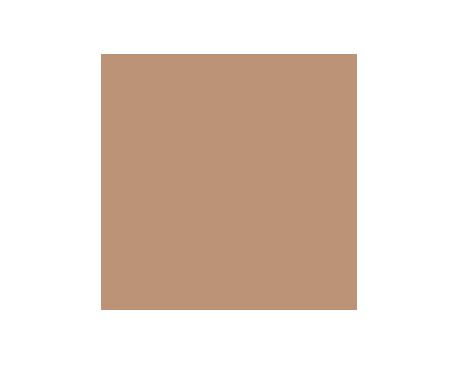 Toasty SW6095 Paint by Sherwin-Williams - modlar.com