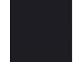 Tricorn Black SW6258 Paint by Sherwin-Williams - modlar.com