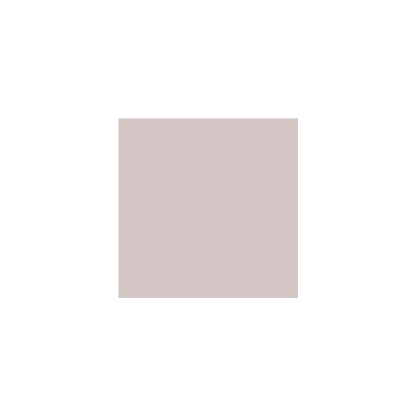 Truly Taupe SW6038 Paint by Sherwin-Williams - modlar.com