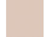 Trusty Tan SW6087 Paint by Sherwin-Williams - modlar.com