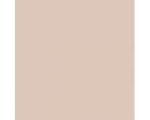 Trusty Tan SW6087 Paint by Sherwin-Williams - modlar.com