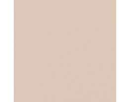 Trusty Tan SW6087 Paint by Sherwin-Williams - modlar.com