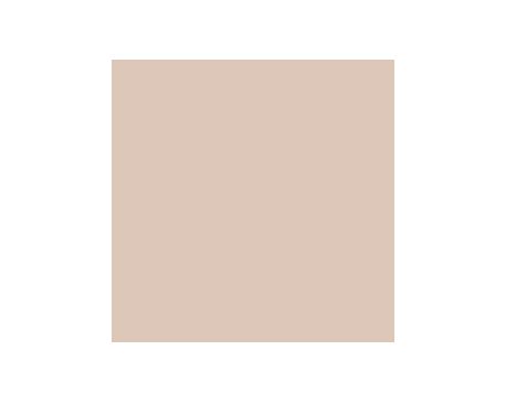 Trusty Tan SW6087 Paint by Sherwin-Williams - modlar.com