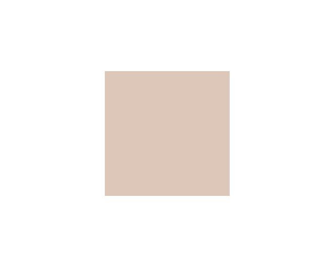 Trusty Tan SW6087 Paint by Sherwin-Williams - modlar.com