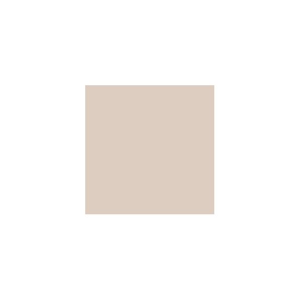 Utterly Beige SW6080 Paint by Sherwin-Williams - modlar.com