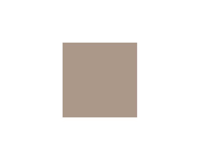 Virtual Taupe SW7039 Paint by Sherwin-Williams - modlar.com