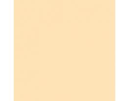 Ambitious Amber SW6366 Paint by Sherwin-Williams - modlar.com