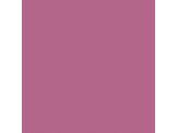 Berry Bush SW6292 Paint by Sherwin-Williams - modlar.com