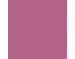 Berry Bush SW6292 Paint by Sherwin-Williams - modlar.com