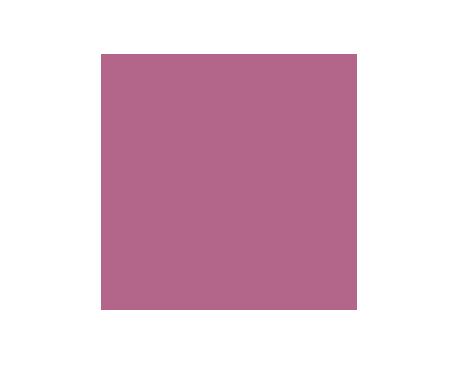Berry Bush SW6292 Paint by Sherwin-Williams - modlar.com