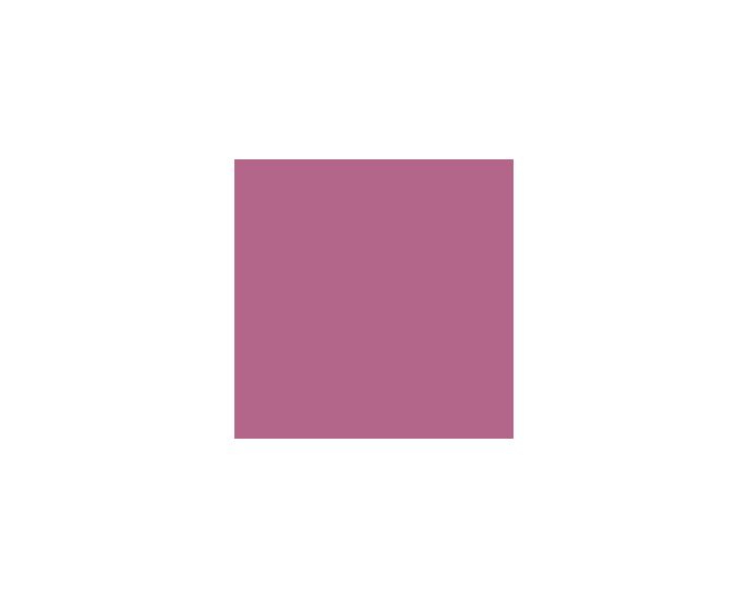 Berry Bush SW6292 Paint by Sherwin-Williams - modlar.com