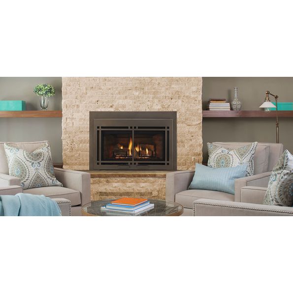 Direct Vent Gas Insert - Ruby Series - modlar.com