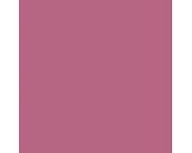 Aged Wine SW6299 Paint by Sherwin-Williams - modlar.com