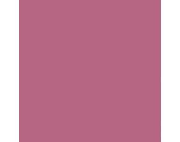 Aged Wine SW6299 Paint by Sherwin-Williams - modlar.com