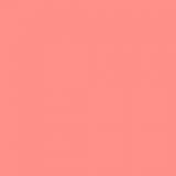 Ardent Coral SW6874 Paint by Sherwin-Williams - modlar.com