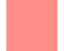 Ardent Coral SW6874 Paint by Sherwin-Williams - modlar.com