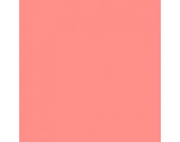 Ardent Coral SW6874 Paint by Sherwin-Williams - modlar.com