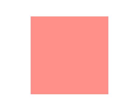 Ardent Coral SW6874 Paint by Sherwin-Williams - modlar.com