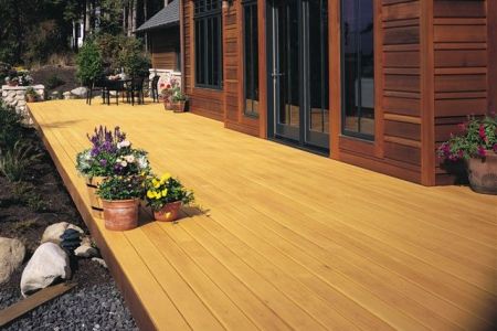 Alaskan Yellow Cedar - modlar.com