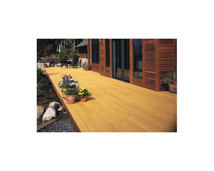 Alaskan Yellow Cedar - modlar.com