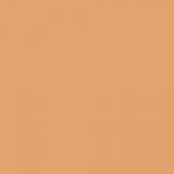 Armagnac SW6354 Paint by Sherwin-Williams - modlar.com