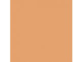 Armagnac SW6354 Paint by Sherwin-Williams - modlar.com