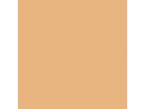 Autumnal SW6361 Paint by Sherwin-Williams - modlar.com