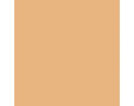Autumnal SW6361 Paint by Sherwin-Williams - modlar.com