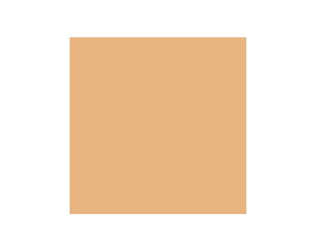 Autumnal SW6361 Paint by Sherwin-Williams - modlar.com
