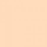 Avid Apricot SW6639 Paint by Sherwin-Williams - modlar.com