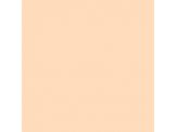 Avid Apricot SW6639 Paint by Sherwin-Williams - modlar.com