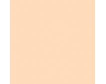 Avid Apricot SW6639 Paint by Sherwin-Williams - modlar.com