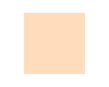 Avid Apricot SW6639 Paint by Sherwin-Williams - modlar.com