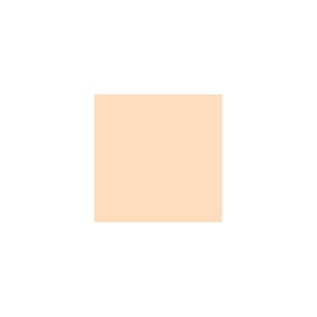 Avid Apricot SW6639 Paint by Sherwin-Williams - modlar.com