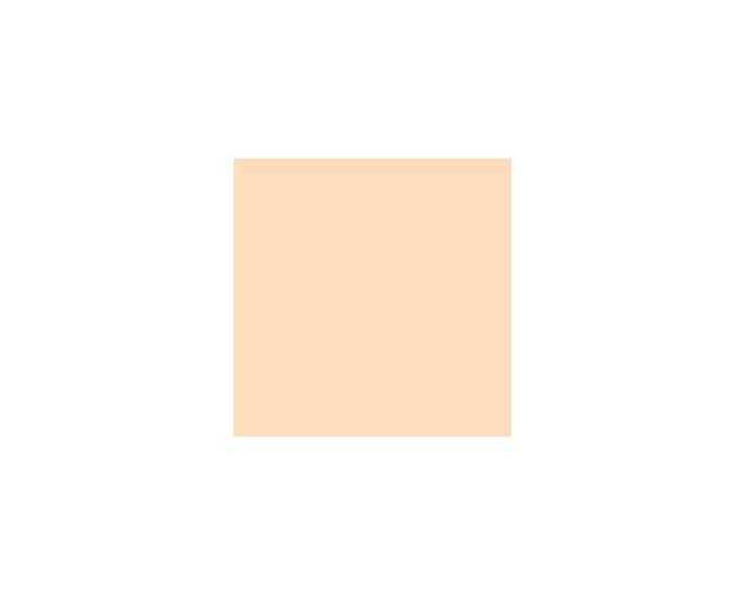 Avid Apricot SW6639 Paint by Sherwin-Williams - modlar.com